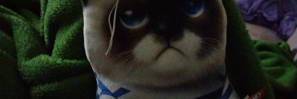 Вася и катя