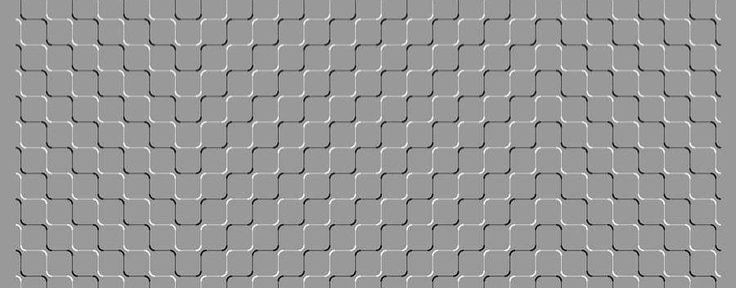 🍁🥀Mapel Angel🥀🍁