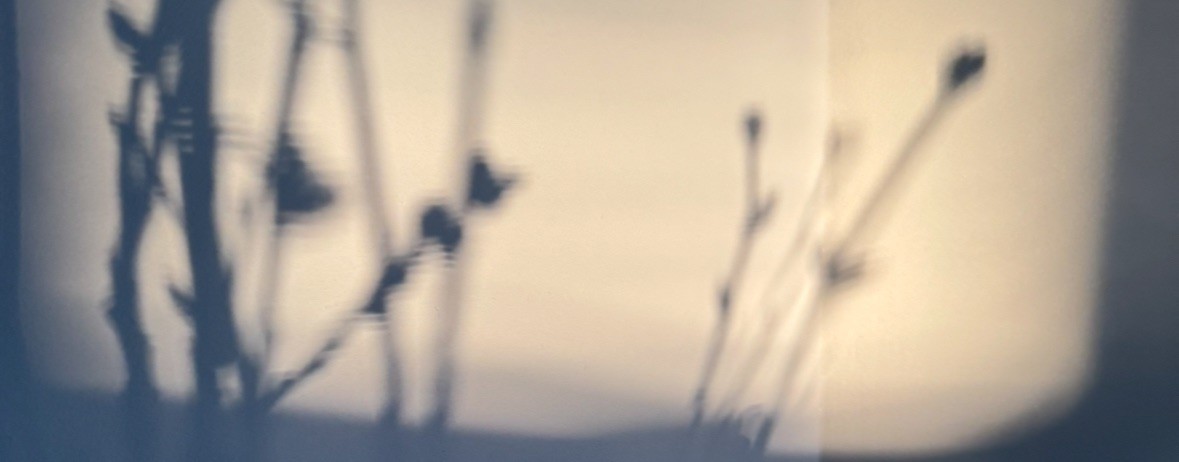 КаСта_продизайн