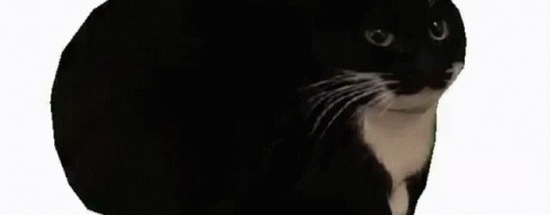 ʍᴀᴋᴄʙᴇᴧᴧ