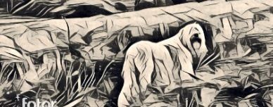 Сказки степной Шулмы