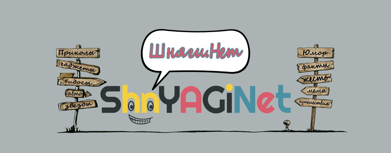 Шняги.Нет - Свежатина уже тут!