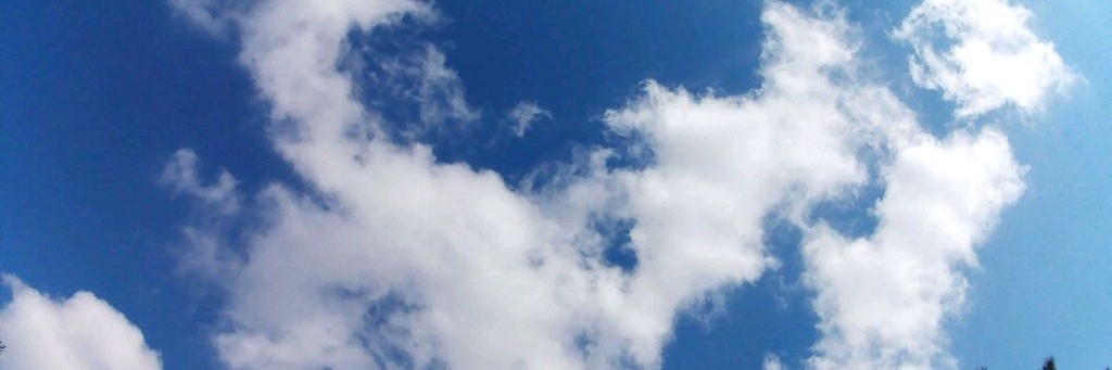 Природное вдохновение