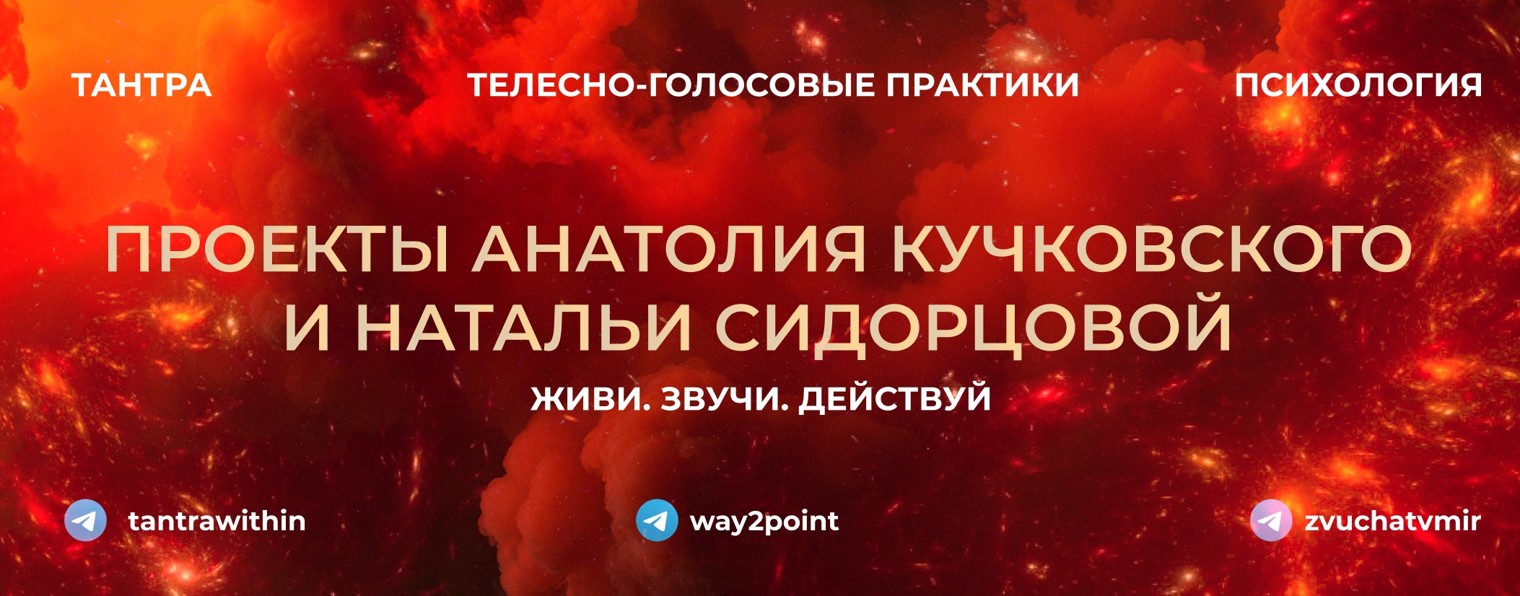 Проекты А. Кучковского и Н. Сидорцовой