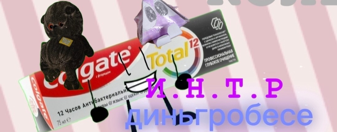 Ŷøŝĥķã И YSH studio