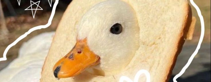 🐺-Nastya Family Home-🤍