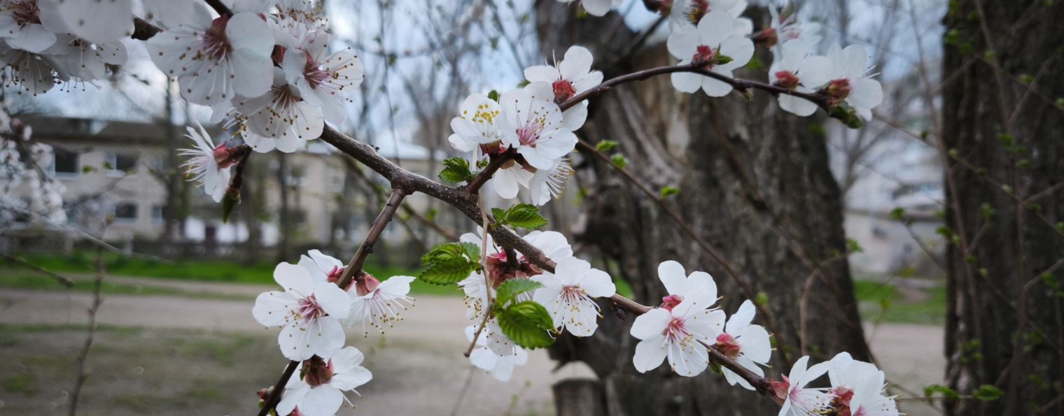 HDR☑▸DISPLAY♉♂️