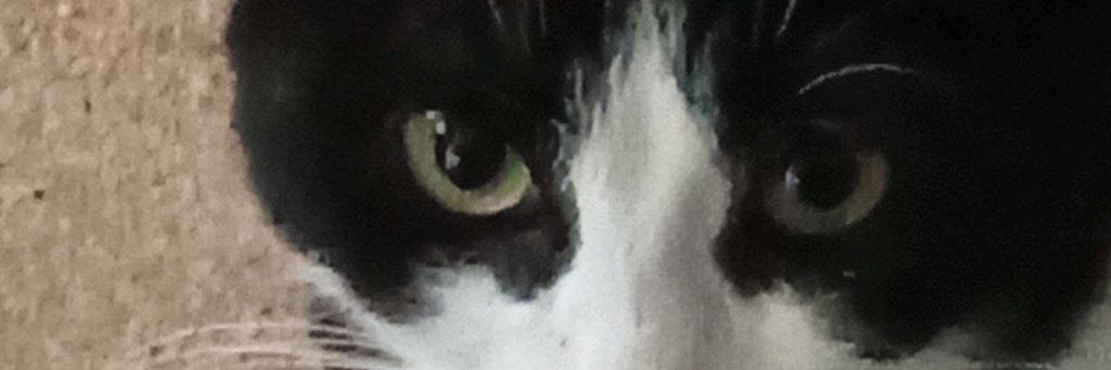 Эдиты от ЛизыРбхФанЖеныши