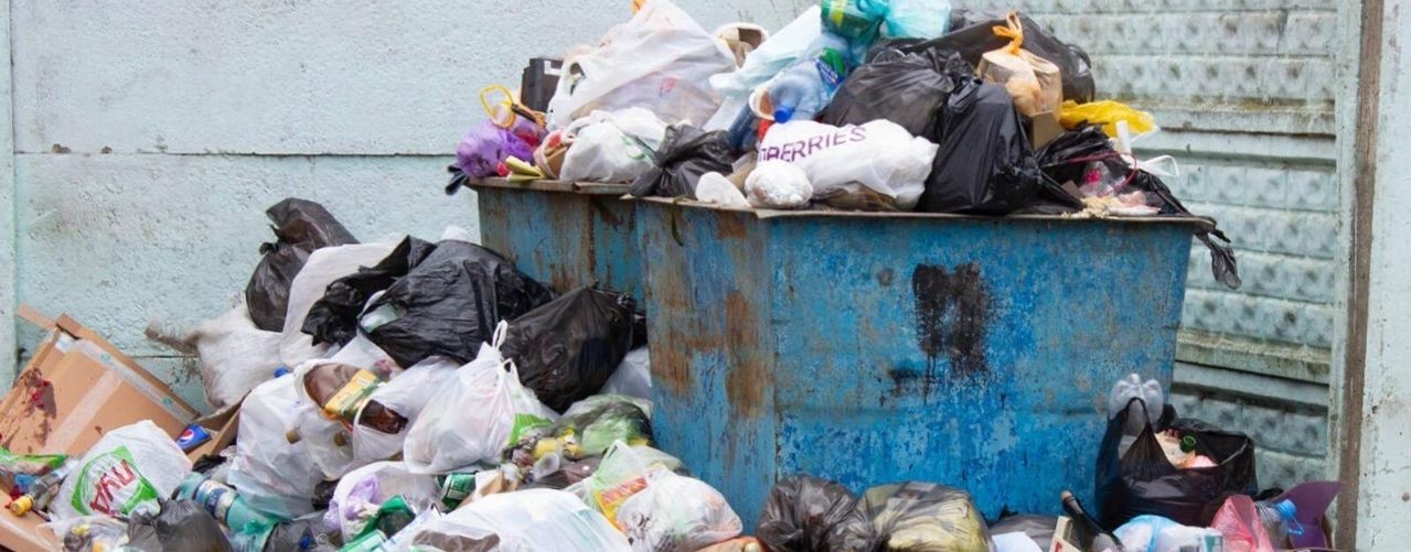 Мусорный Ревизор