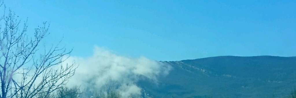 Мои прикольные дни.