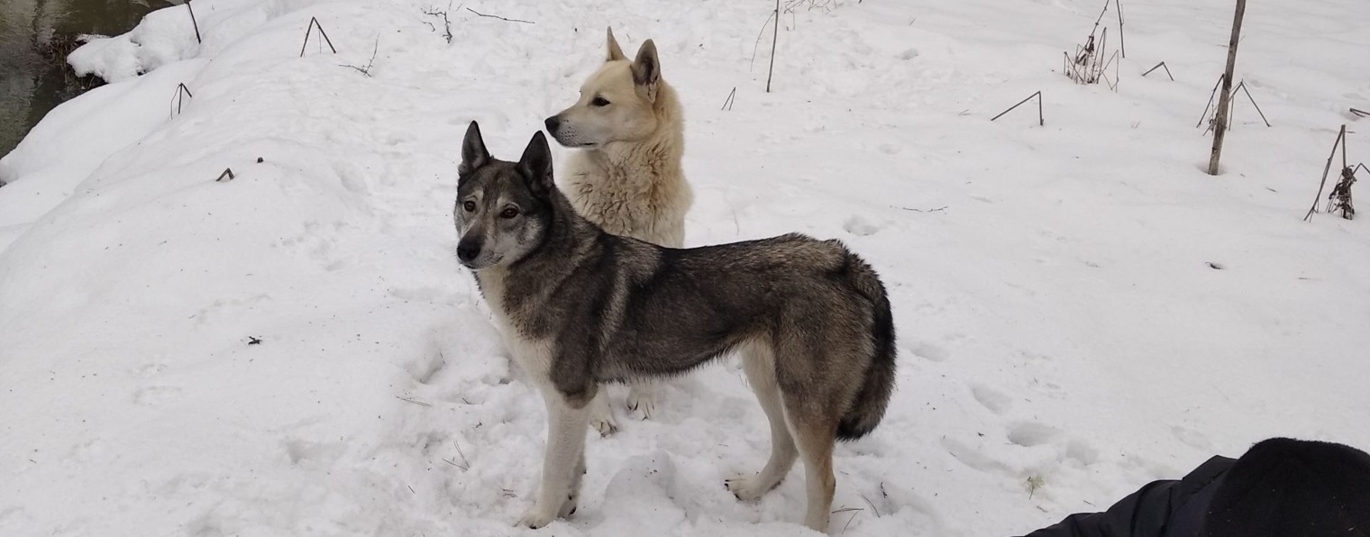 Таёжный Привал