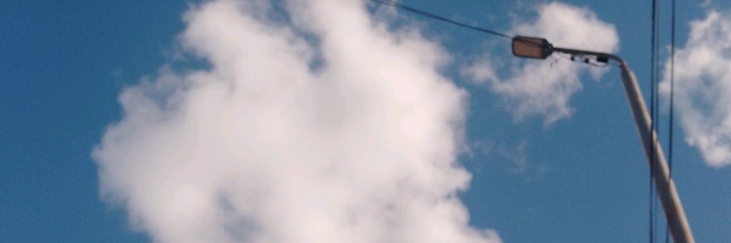 🦅🪵тока чебуречек🤎🫐