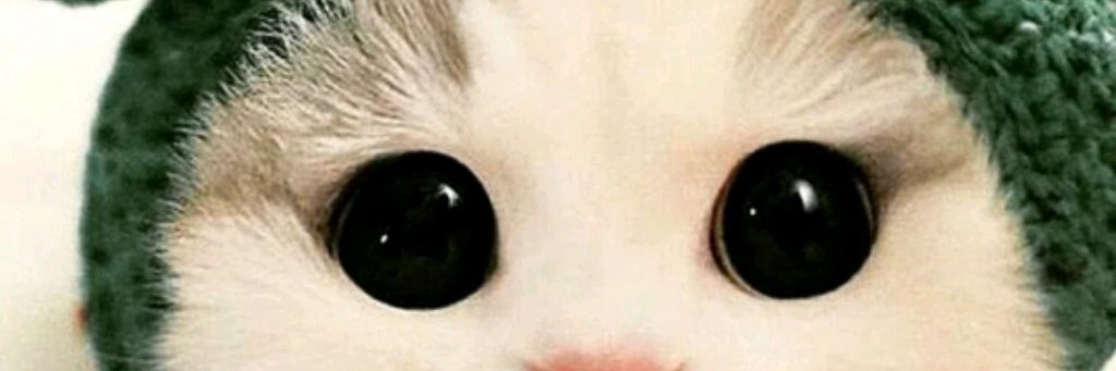 «♡♕~ малышь  мик ~♕♡»