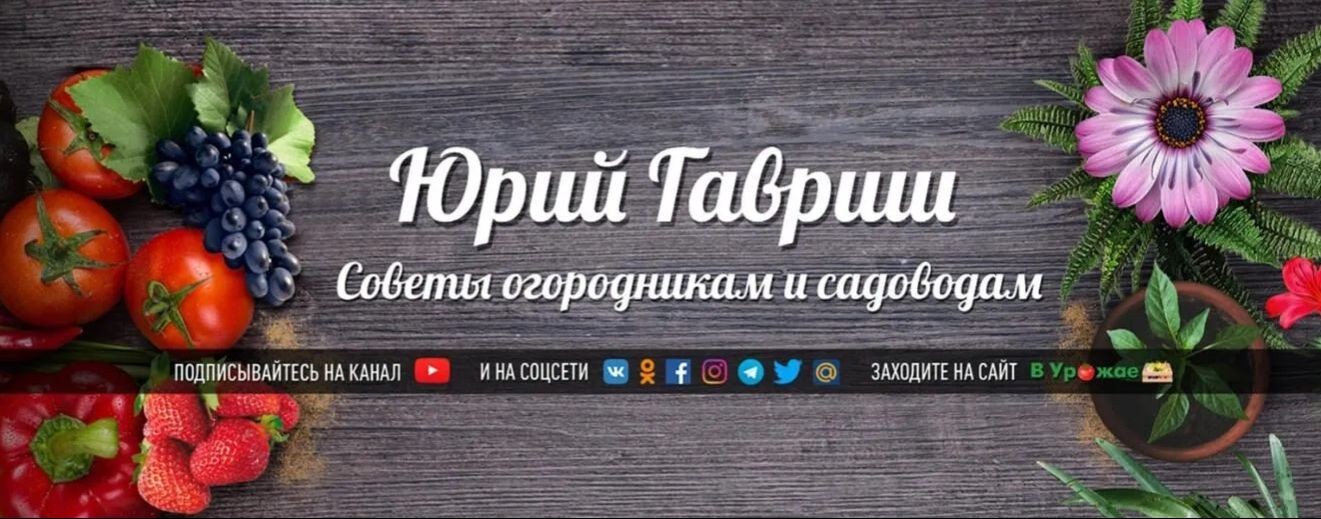 Дача Сад Огород. Юрий Гавриш (В Урожае)