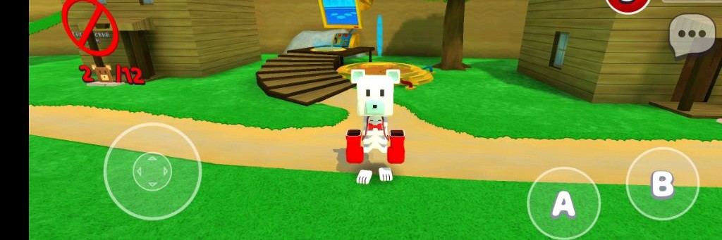 Amir Play👑 Official