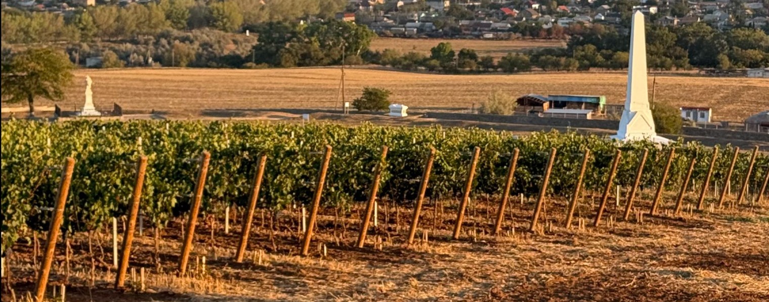 Вина Валерия Захарьина