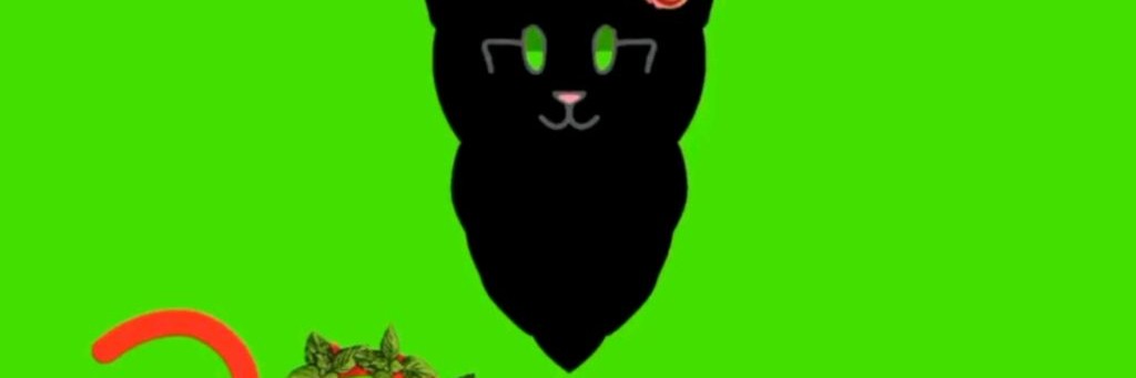 Мятная_Звезда_KV