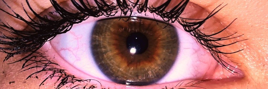 Хочешь сосну?        (Я про дерево..)...