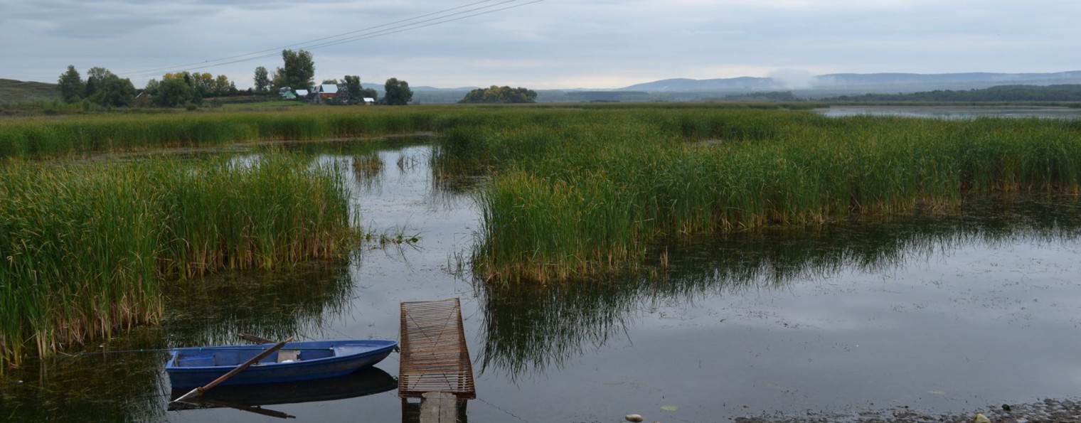 Профессор Аминев