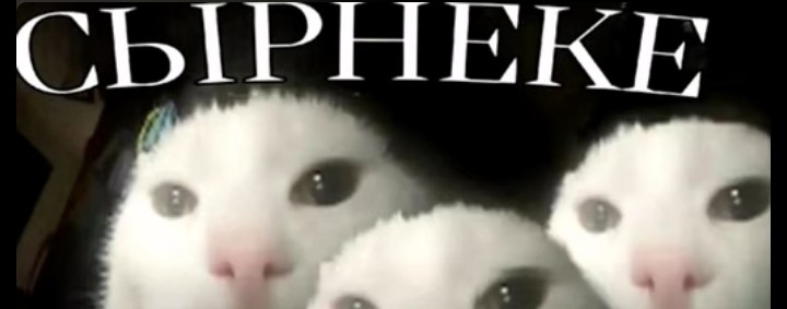 норди ЭС 29