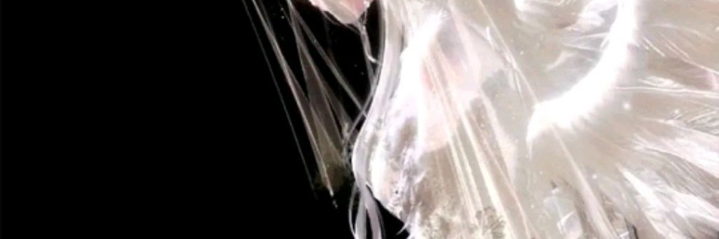 ꧁🌼𝓐𝓷𝓰†𝓵🪽꧂