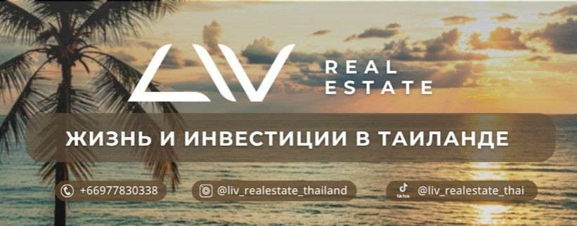 LIV REAL ESTATE