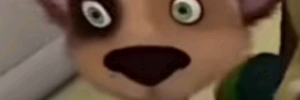 Малыш Дружкович