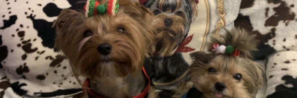 Коробочка с секретом  ☑️