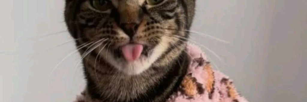 Вика- эстетика-ворлд