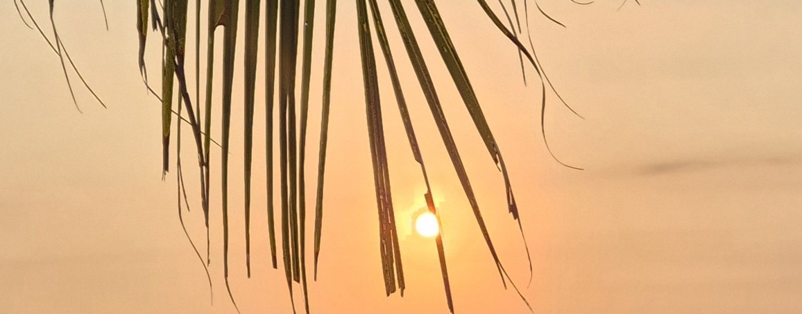 Милая МилаДа