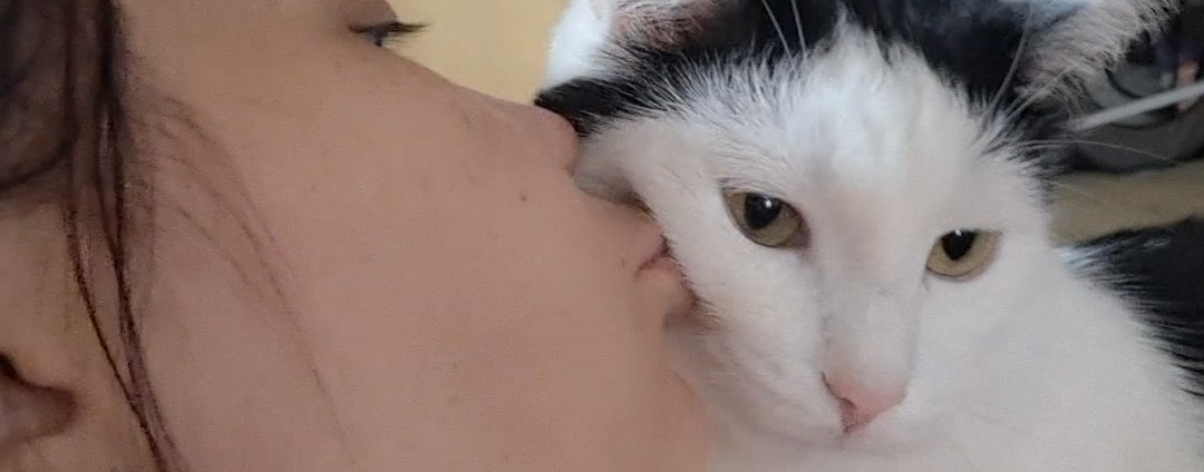 Мои любимые питомцы❤️