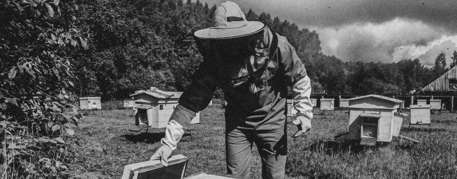 Наука Пасеки