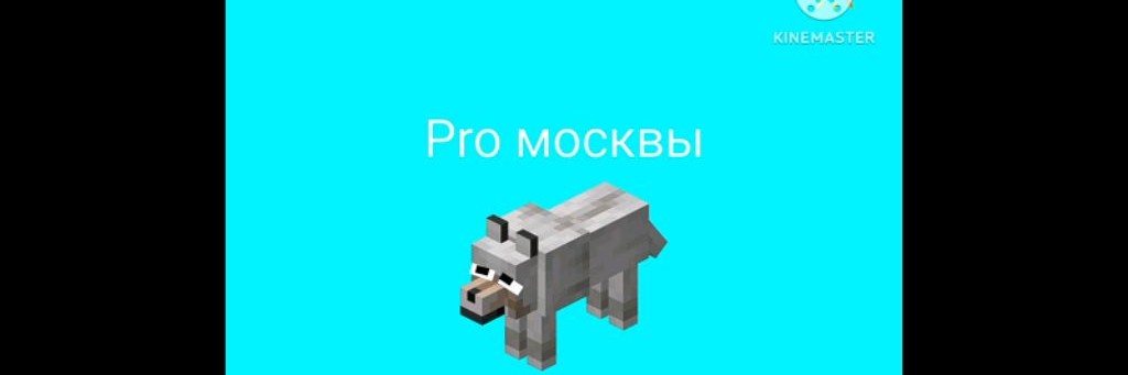 Влад Дамаскин