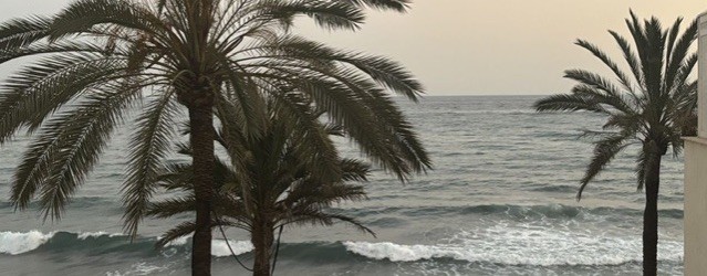 •ι᥉ᥲbᥱᥣᥣᥱ🌺🤍