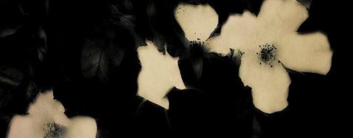 Нелли, которая писательница