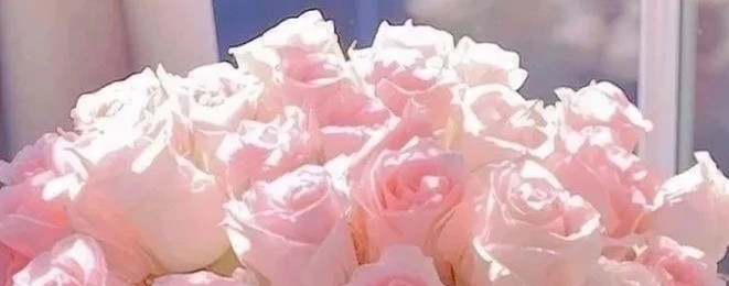 Мой дом и цветы в нем🪴🪴🪴