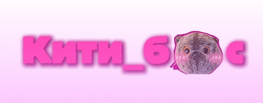 КИТТИБ😺С