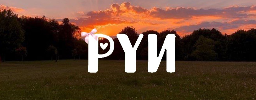 Руи