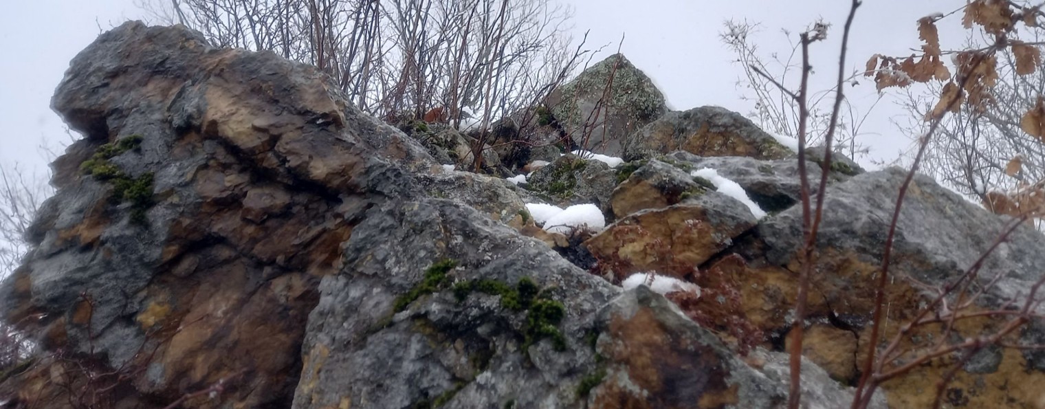 Странник ( Дальний Восток ).