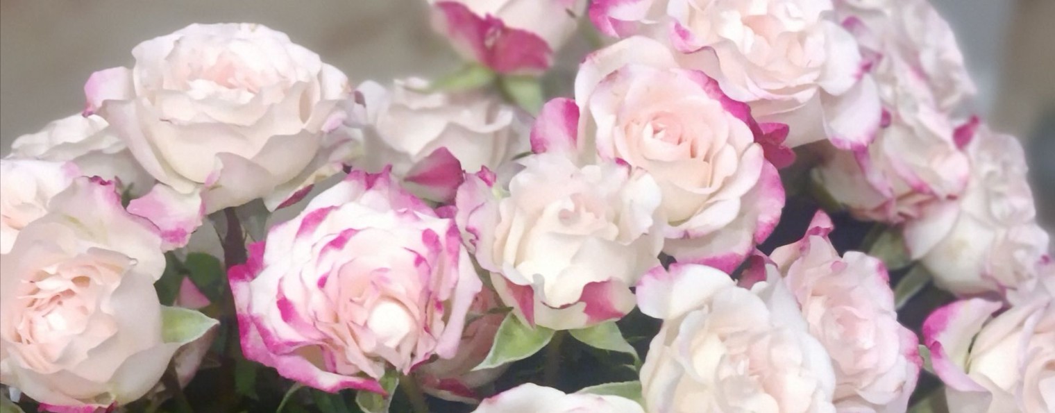 Анастасия Баличева