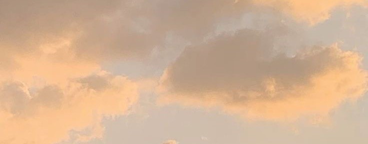 Дина Кузьмина | О главном