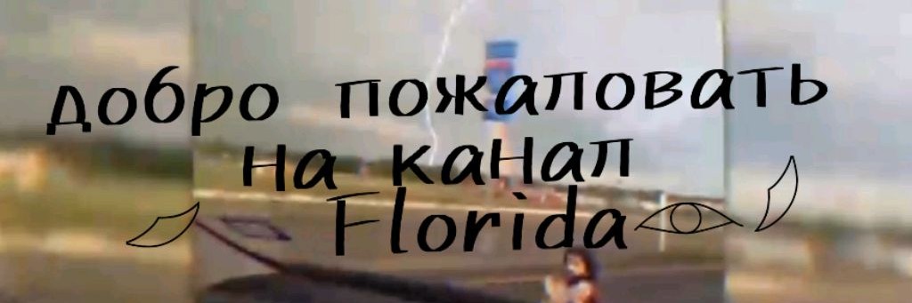 𓆩✡Florida𓁹𓆪