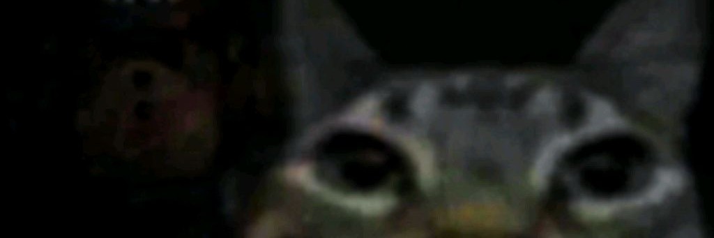 |•~° Ракатикитатата °~•|