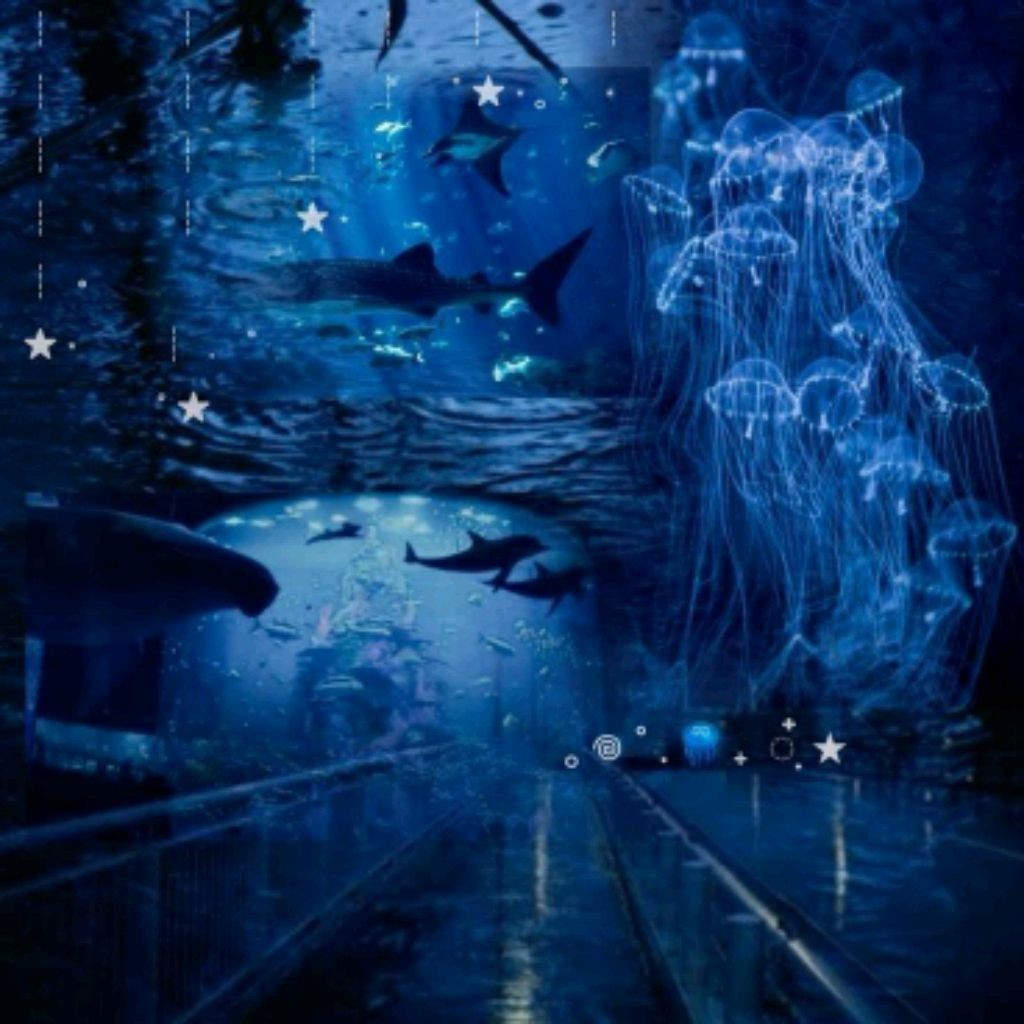 𝑀𝒶𝓇𝓂𝑒𝓁𝒶𝒹𝓀𝒶.
