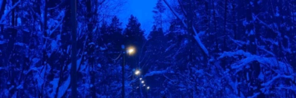 Catblog, Гроза в рутубе!!!