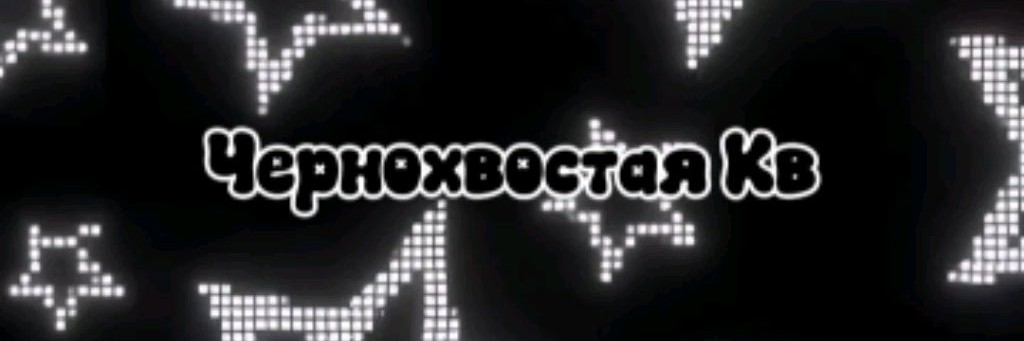 Чернохвостая Кв💗