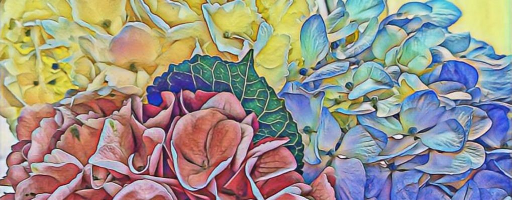 Рукодельница Мечтательница