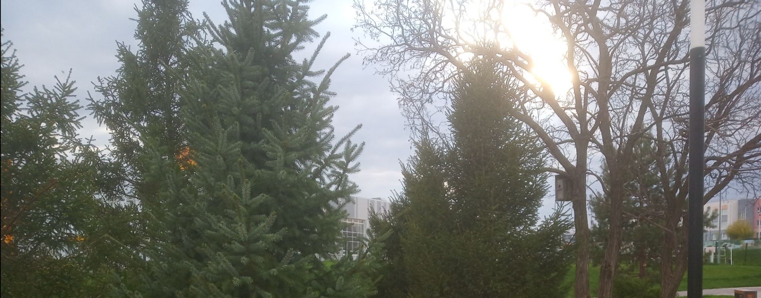 Любознательный ученик