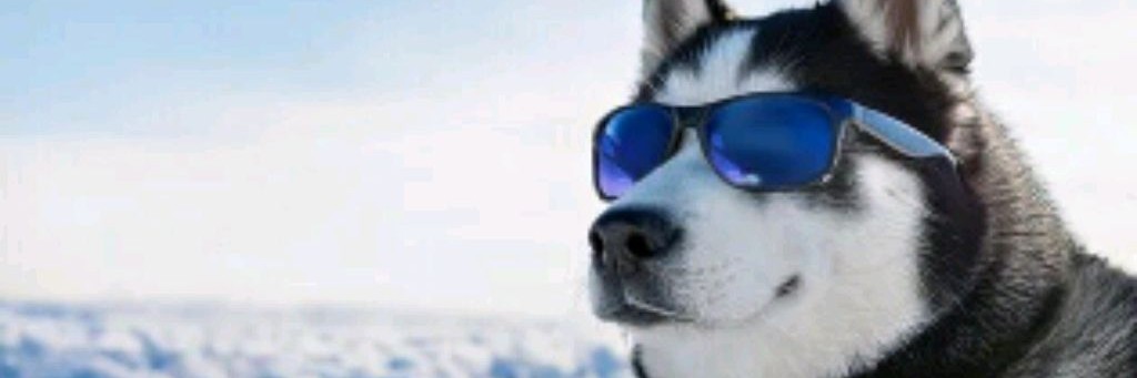 🦁ПРО54К🦁вова☑️❄️☃️