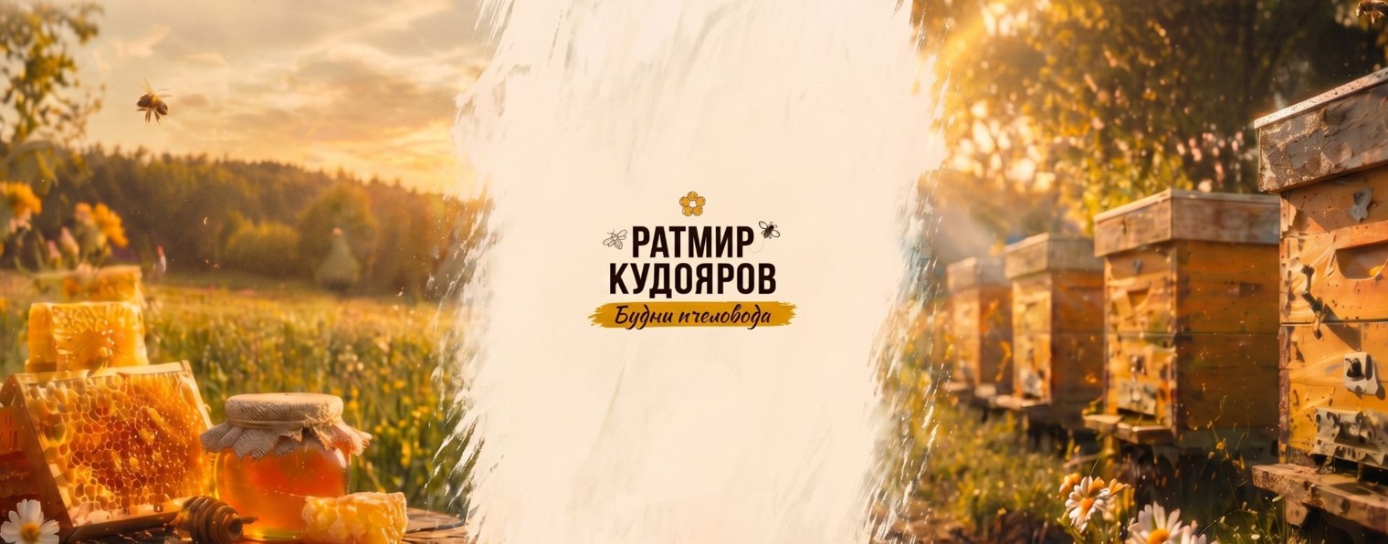 Ратмир Кудояров / Будни Пчеловода